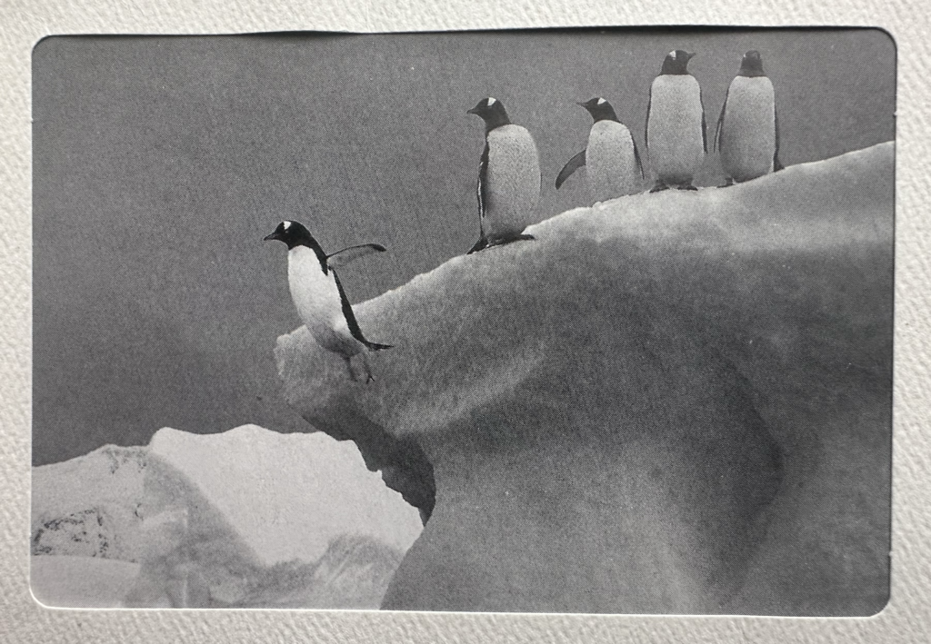 Letting Go of Ambition - Calvin Rosser